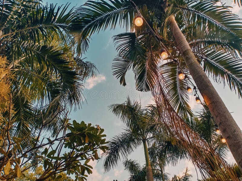 Good Viber Stock Photos - Free & Royalty-Free Stock Photos from Dreamstime