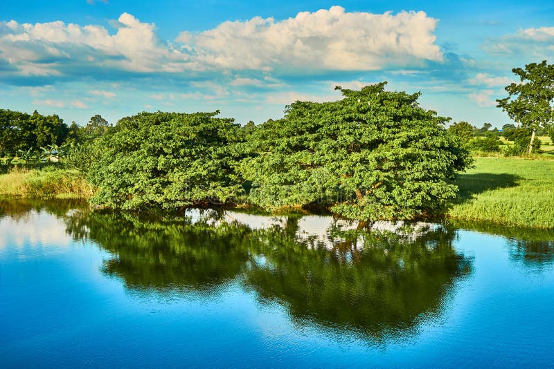 Good view stock photo. Image of resh, grass, clouds, healthy - 82103376