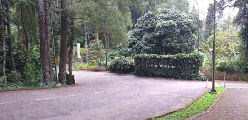 The Good View at the Mountain in West Java, Puncak Bogor Indonesia ...