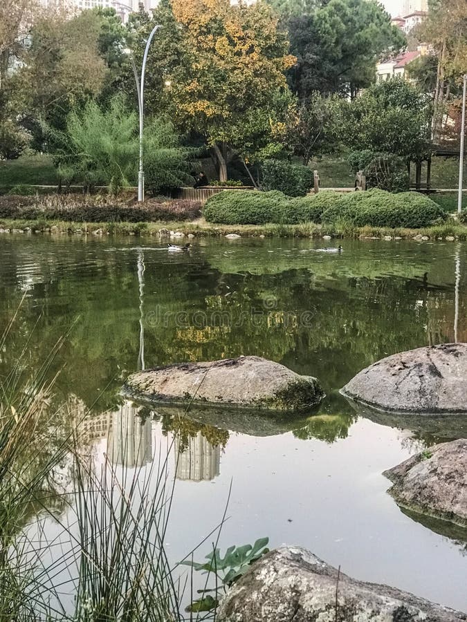 Good View Stones Lake Trees Stock Image - Image of good, lake: 260746089