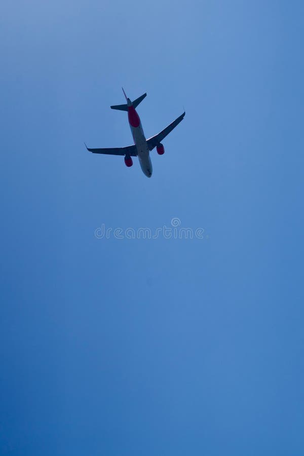 Goodbye! stock image. Image of flight, bird, seagull - 154915941