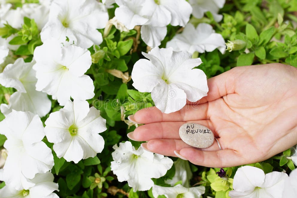 Goodbye stock photo. Image of nature, aurevoir, relationship - 78661076