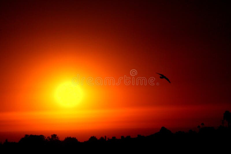 Sun beam stock image. Image of light, ocean, pacific, path - 3946445