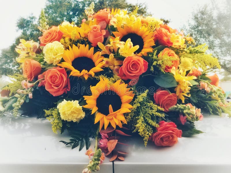 102 Goodbye Painting Stock Photos - Free & Royalty-Free Stock Photos ...