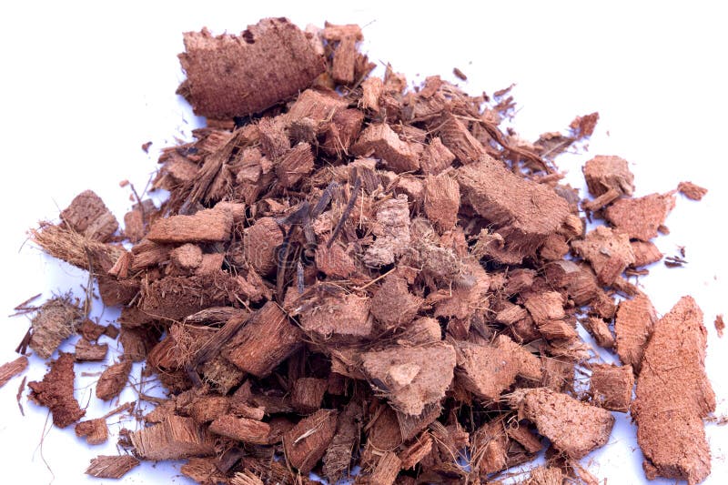 Dried Coconut Shells, Chopped into Small Pieces for Compost Mixture on ...
