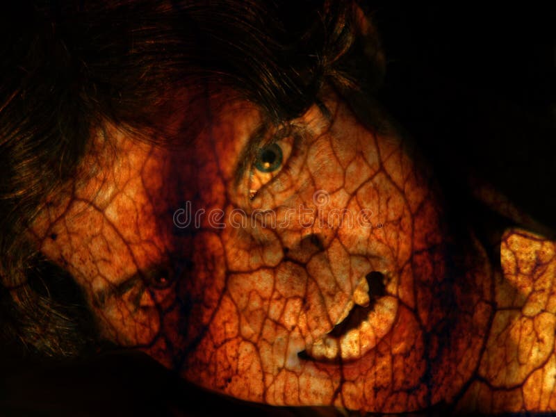 Goodnight! stock photo. Image of doomed, devil, demonic - 3044204
