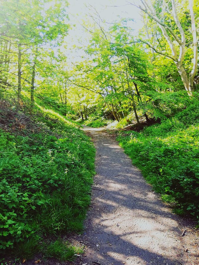 Patchie Stock Photos - Free & Royalty-Free Stock Photos from Dreamstime