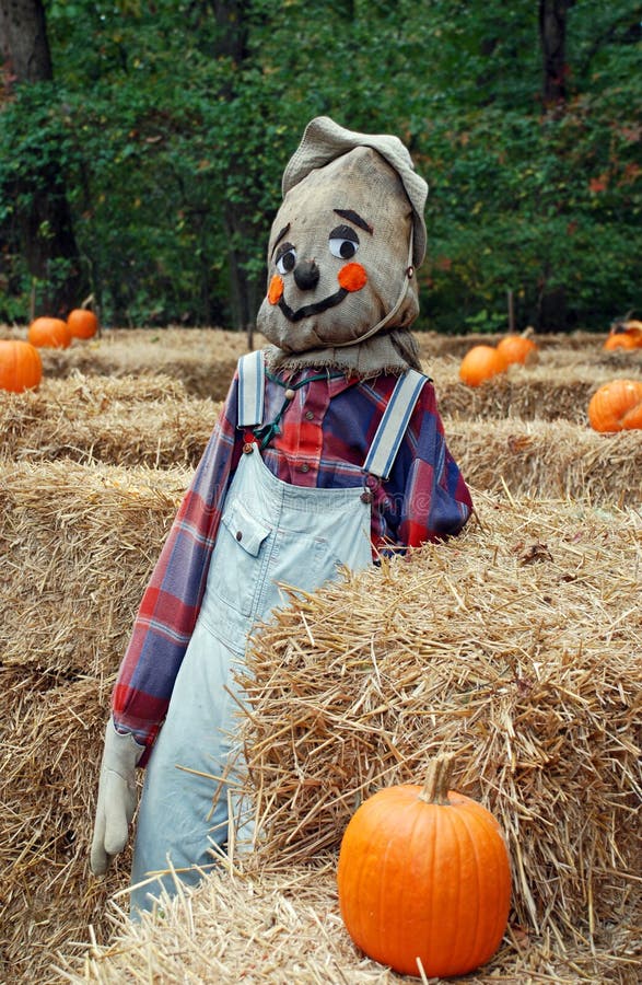Goofy Scarecrow 2 stock photo. Image of harvest, crow - 11373430