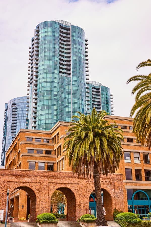 Google Building in San Francisco with Palm Trees in Front and ...