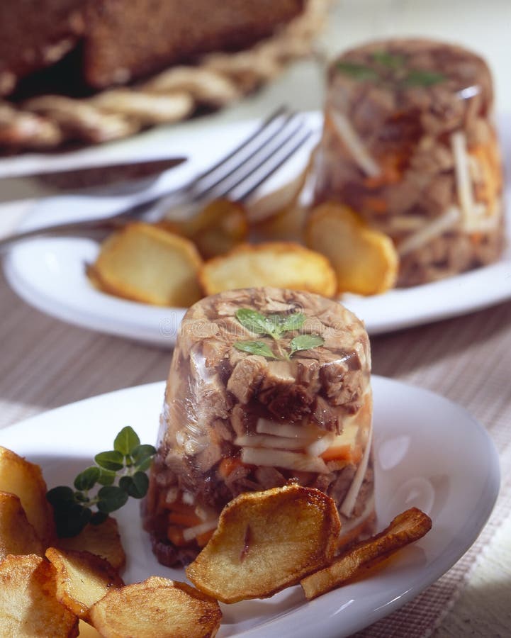 Goose aspic stock photo. Image of dinner, aspic, closeup - 17019990