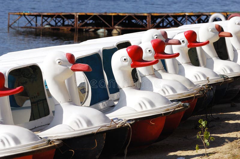 Goose boat stock image. Image of lake, bank, goose, dock - 5823893