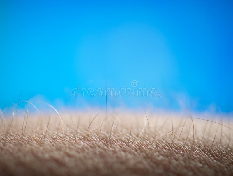 Goose bumps on human skin stock photo. Image of goosebumps - 84142742