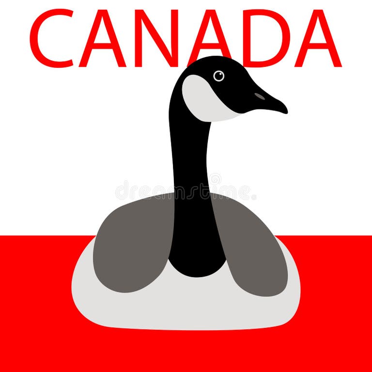 Canada Goose Stock Illustrations – 2,613 Canada Goose Stock ...