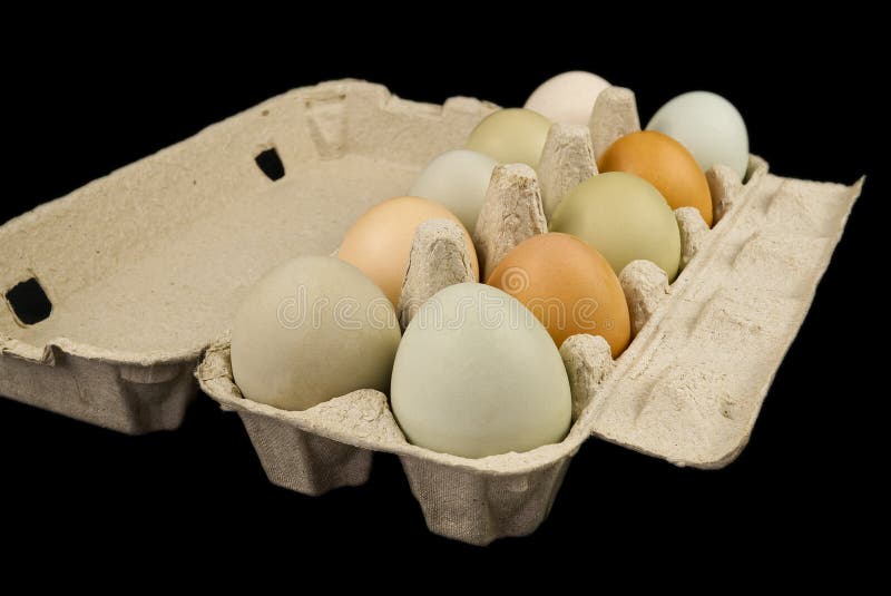 Goose and Chicken Eggs in a Cardboard Box. Ecological Eggs from the ...