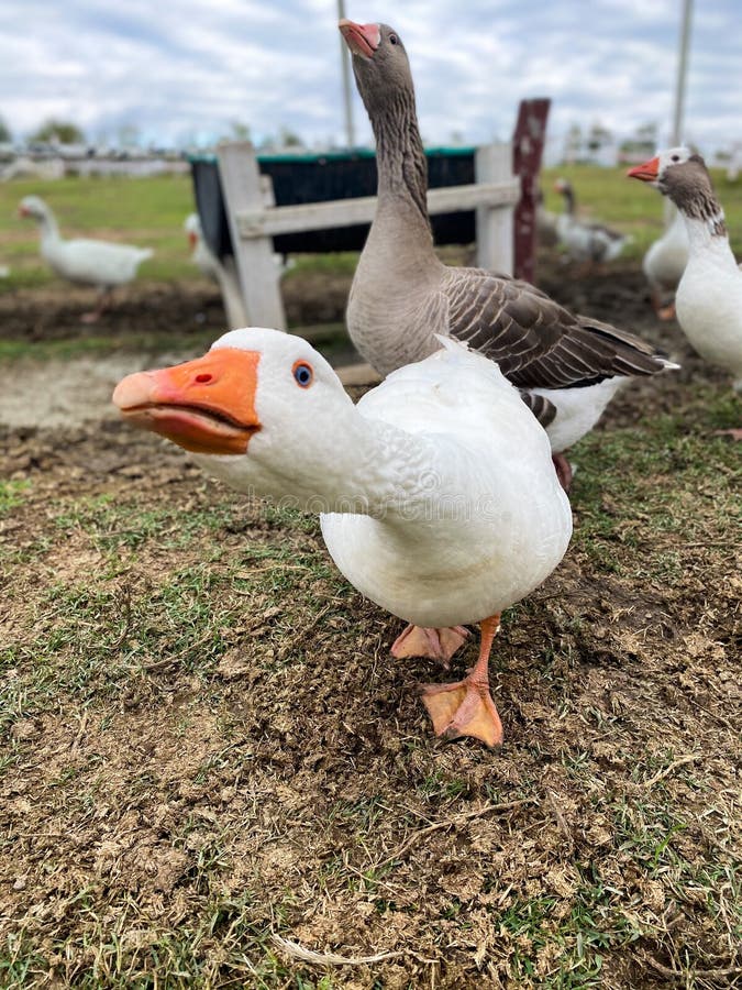 Gabriel Robledo (Grobledo) - Photographer profile