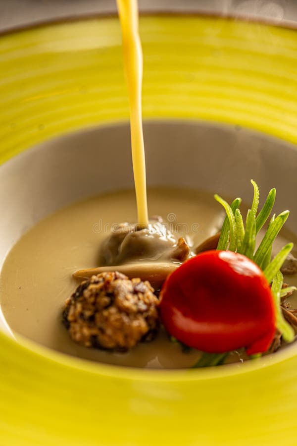 Goose cream soup stock photo. Image of lunch, dumpling - 164423618