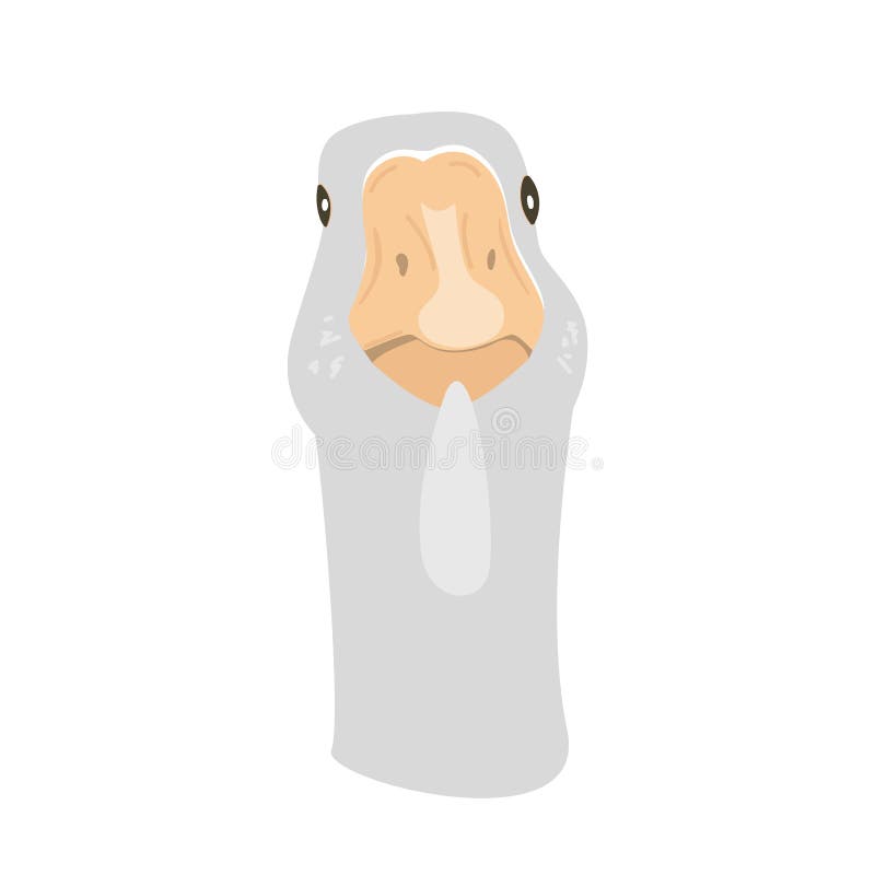 Goose Head Cartoon Vector Illustration Isolated on White. Flat Style ...