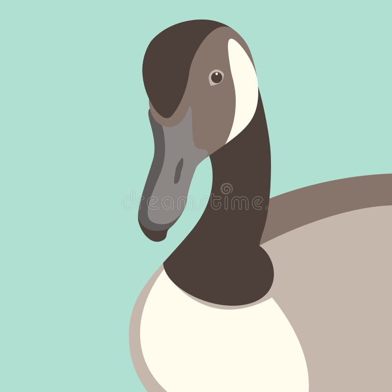 Goose Head Vector Illustration Flat Style Front Stock Vector ...