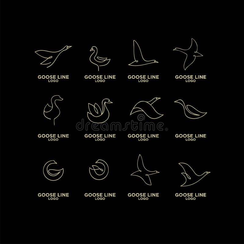 Set Collection Goose Gold Line Logo Abstract Icon Design Stock Vector ...