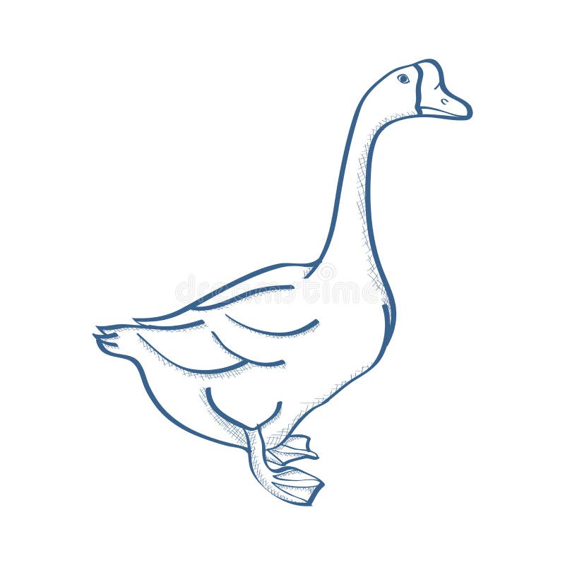 Goose stock illustration. Illustration of drawing, design - 41643313