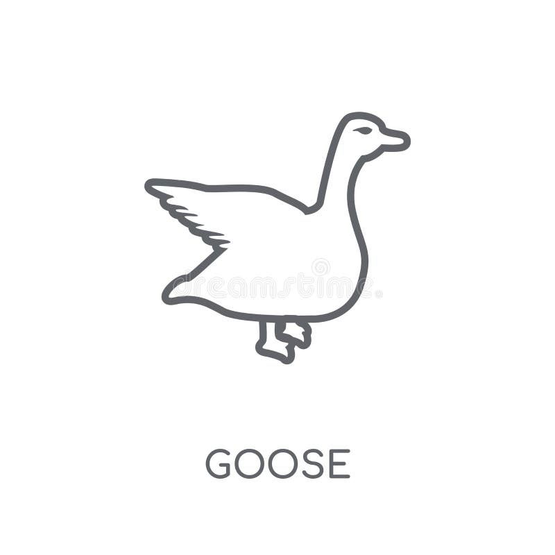 Goose Linear Icon Modern Outline Goose Logo Concept On White Ba Stock