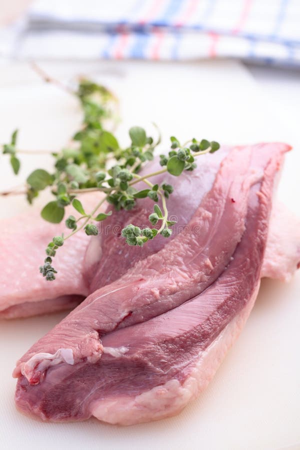 Goose meat stock image. Image of uncooked, spice, pink - 24404469