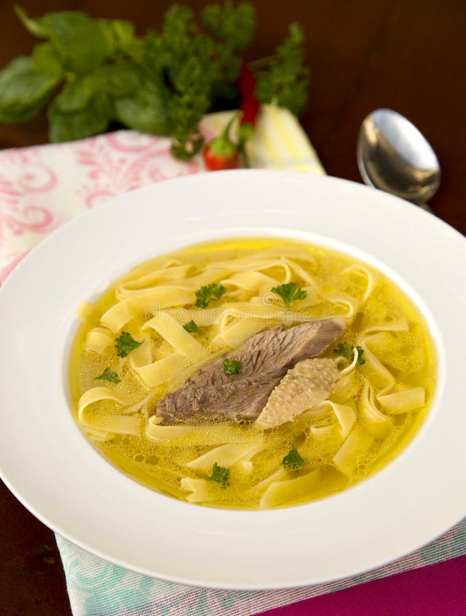 Goose noodle soup stock photo. Image of meal, tasty, homemade - 46678944
