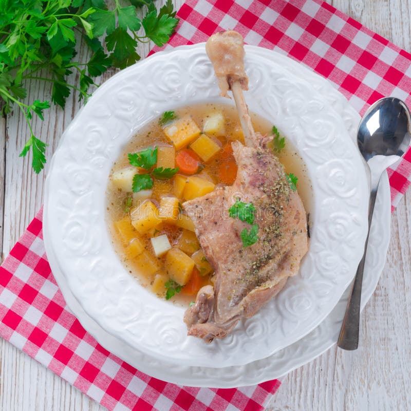 Goose - Soup with Red Wine and Thyme Stock Photo - Image of fresh ...