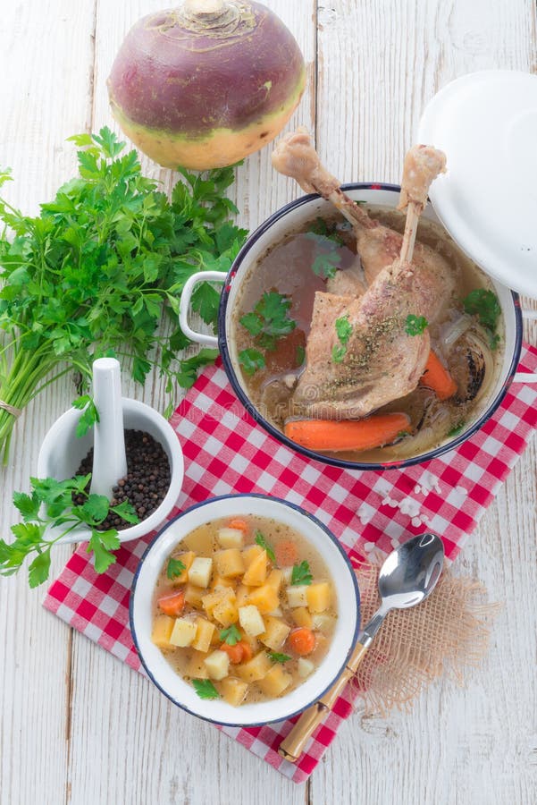 Goose noodle soup stock photo. Image of meal, tasty, homemade - 46678944