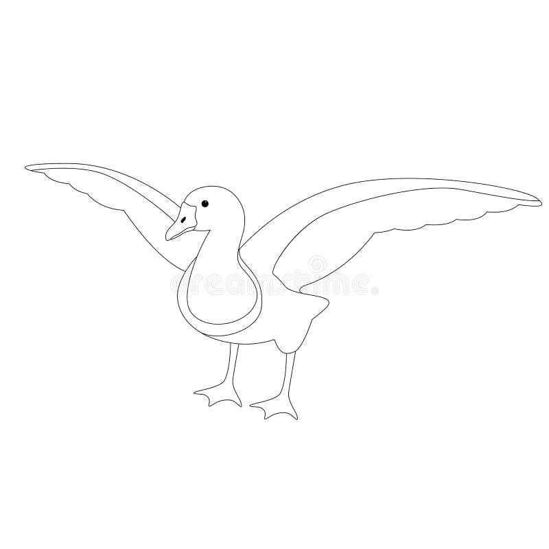 Goose Vector Illustration , Lining Draw ,front Stock Vector ...