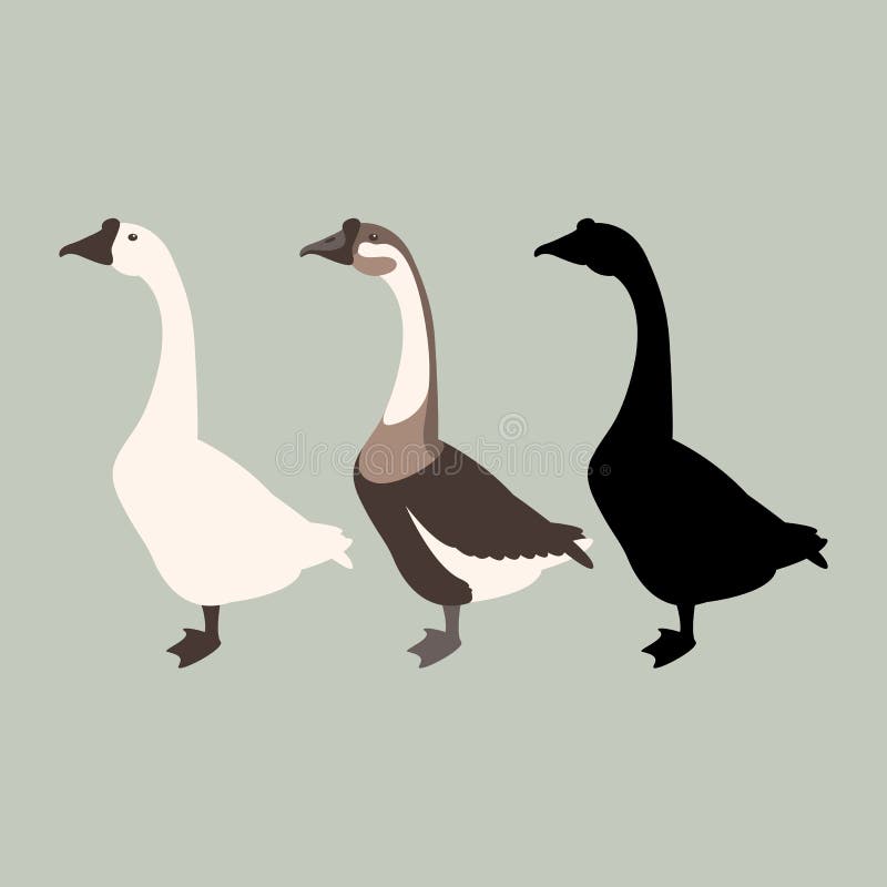 Goose Vector Illustration Style Flat Silhouette Stock Vector ...