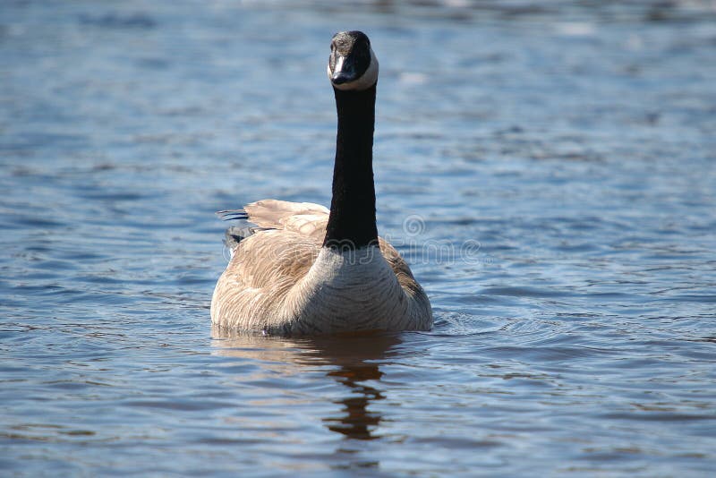 Water Picture. Image: 934664