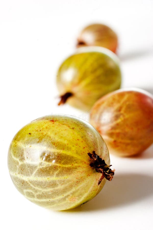 Gooseberries stock photo. Image of nutrition, healthy - 15168540