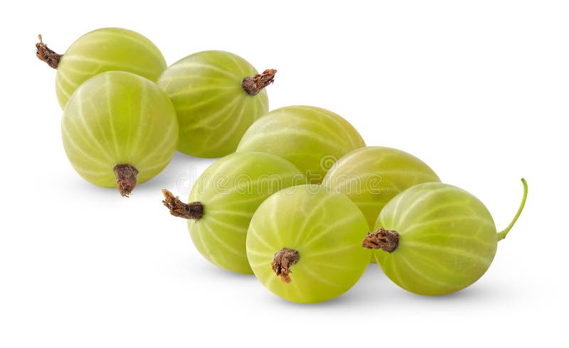 Gooseberries stock photo. Image of food, conservation - 14554514