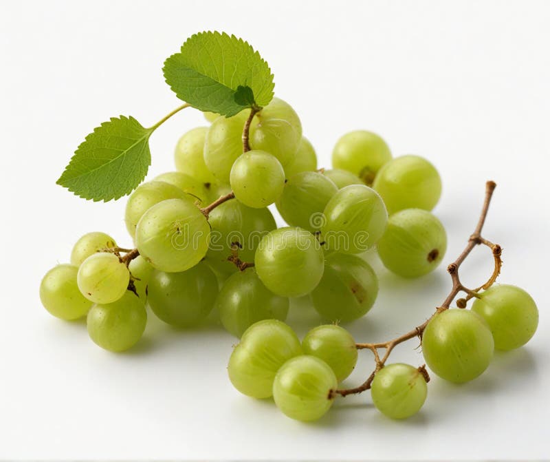 Gooseberry,cut Out on White Background Stock Image - Image of exotic ...