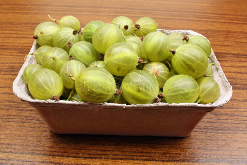 Gooseberry stock photo. Image of fruit, summer, sour - 33306818