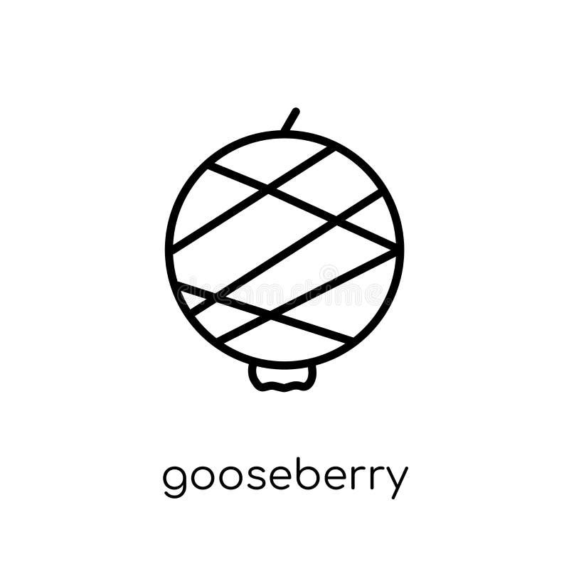 Gooseberry Linear Icon. Modern Outline Gooseberry Logo Concept O Stock ...