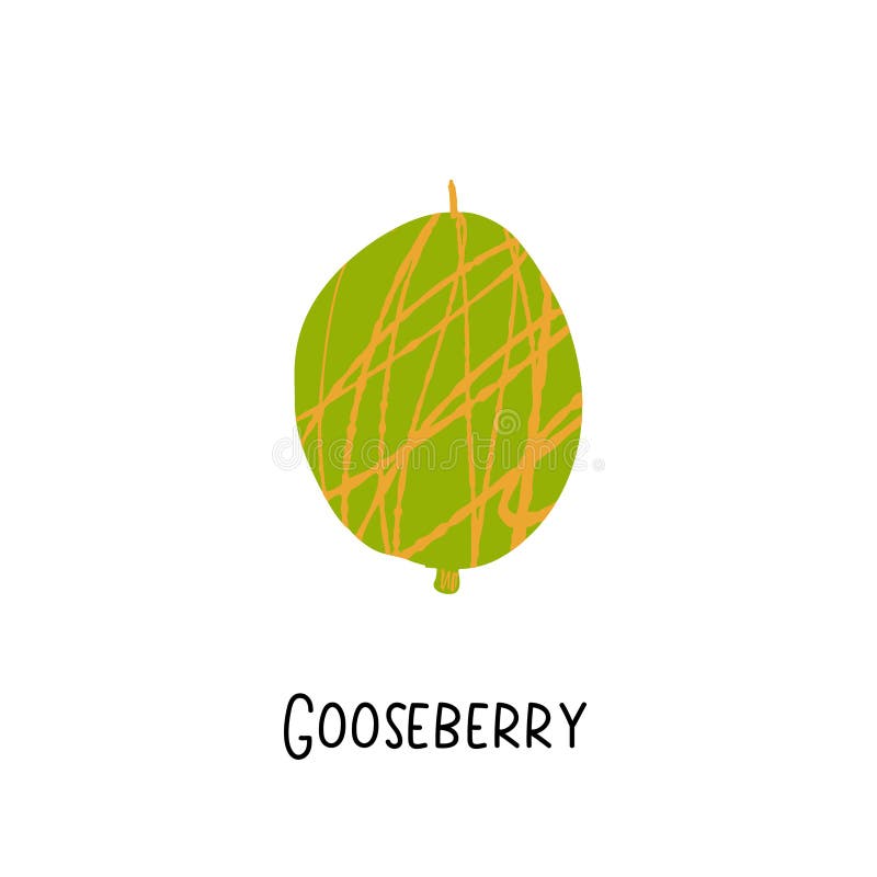 Gooseberry Illustration with Texture Isolated on White Background Stock ...