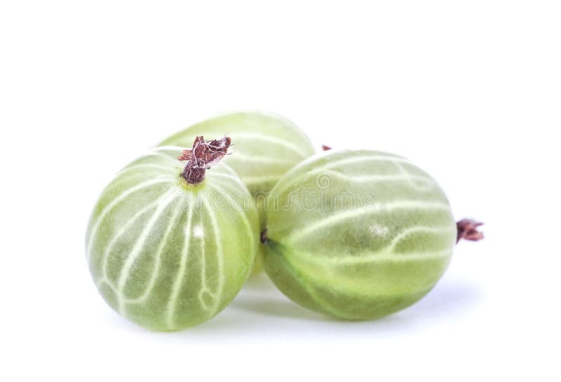 Gooseberry stock image. Image of isolated, fruit, white - 36539403