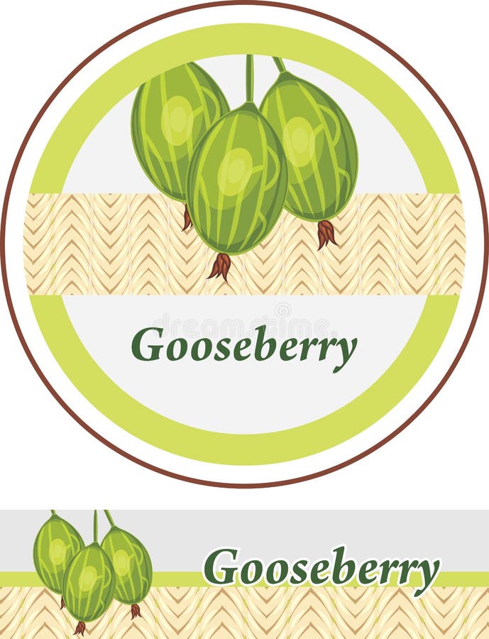 Gooseberry Labels and Elements Set. Vector Stock Vector - Illustration ...