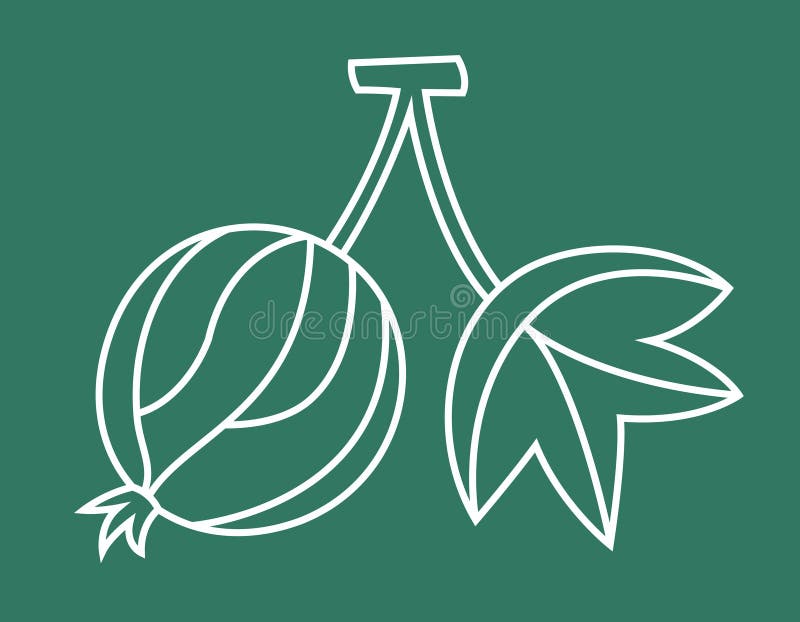 Outline Gooseberry Stock Illustrations – 923 Outline Gooseberry Stock ...