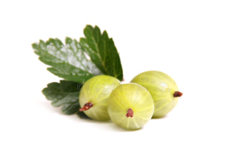Gooseberry on a White Background Stock Image - Image of dietary ...