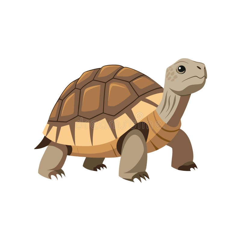 Gopher Tortoise: a Nature Illustration Stock Image - Illustration of ...