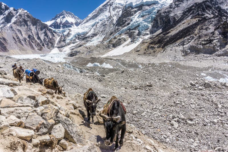 Gorak Shep, Nepal - May 17th 2019: Gorak Shep Last Village And Resting ...