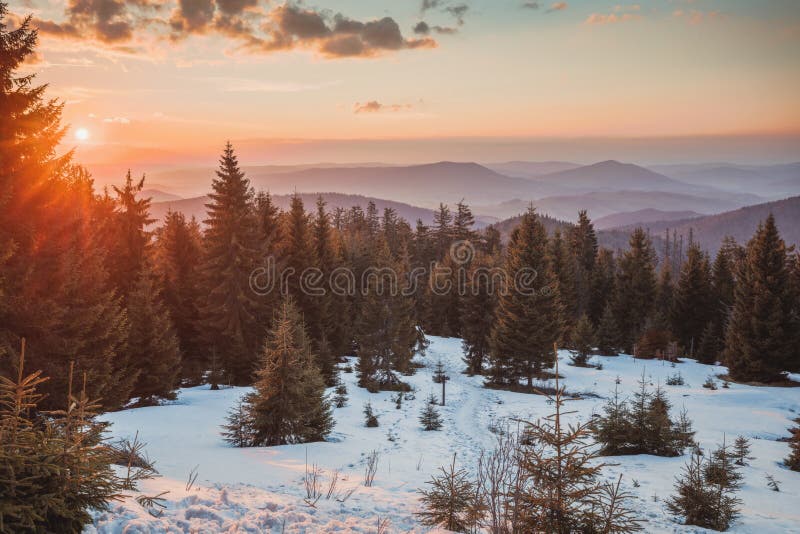 Gorce National Park stock photo. Image of meadow, sunrise - 220555920