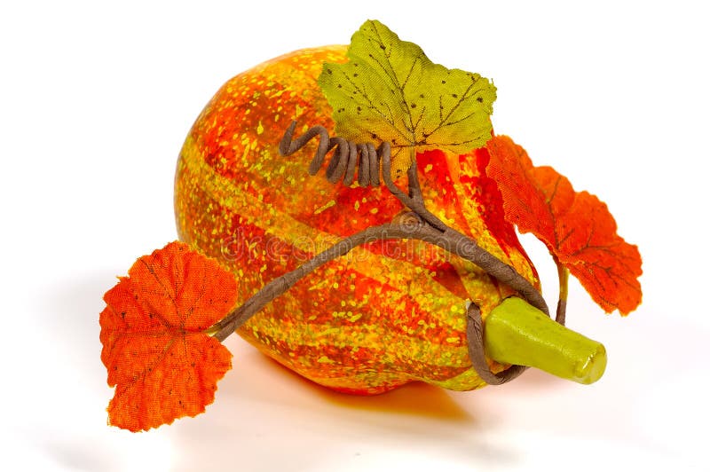 Gord stock photo. Image of halloween, yellow, stem, gord - 236480