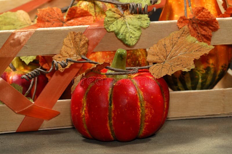 Gord stock image. Image of pumpkin, seasonal, gord, celebrate - 3452089