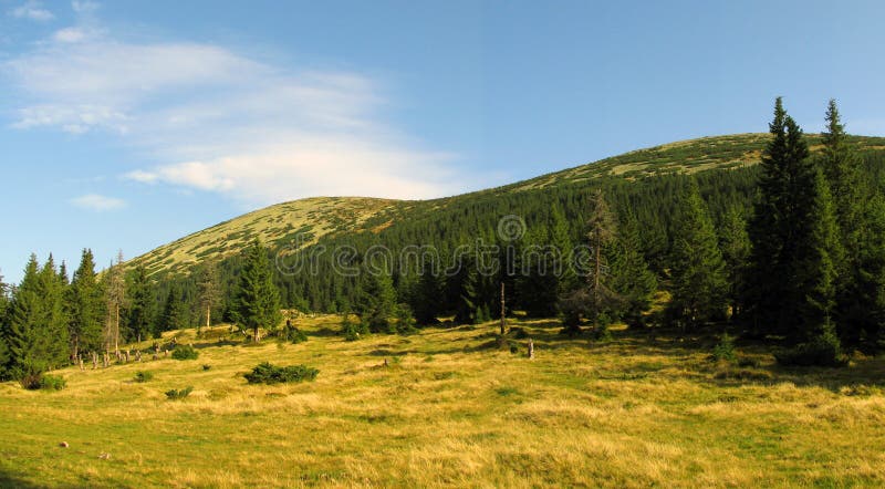 Gorgany Region in Carpathians Stock Photo - Image of field, bright ...