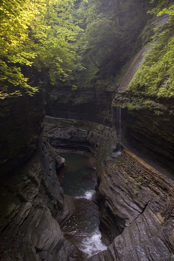 Gorge Waterfall stock photo. Image of ferns, landscape - 2629200