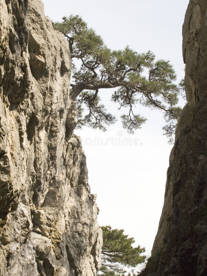 Gorge stock image. Image of spring, gorge, road, field - 696229